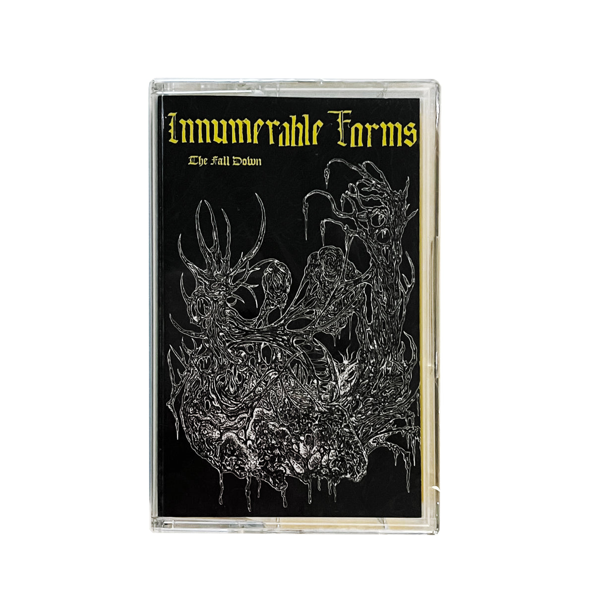 Innumerable Forms: The Fall Down cassette – Sorry State Records
