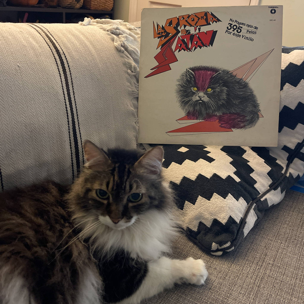 Daniel's Staff Pick: May 26, 2025 – Sorry State Records