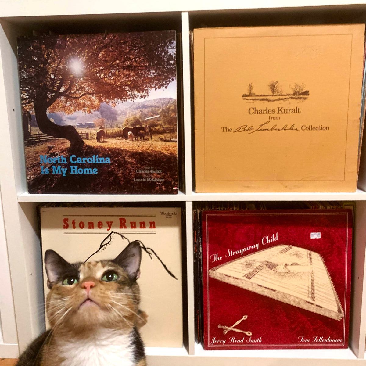 SSR Picks: September 23 2021 – Sorry State Records