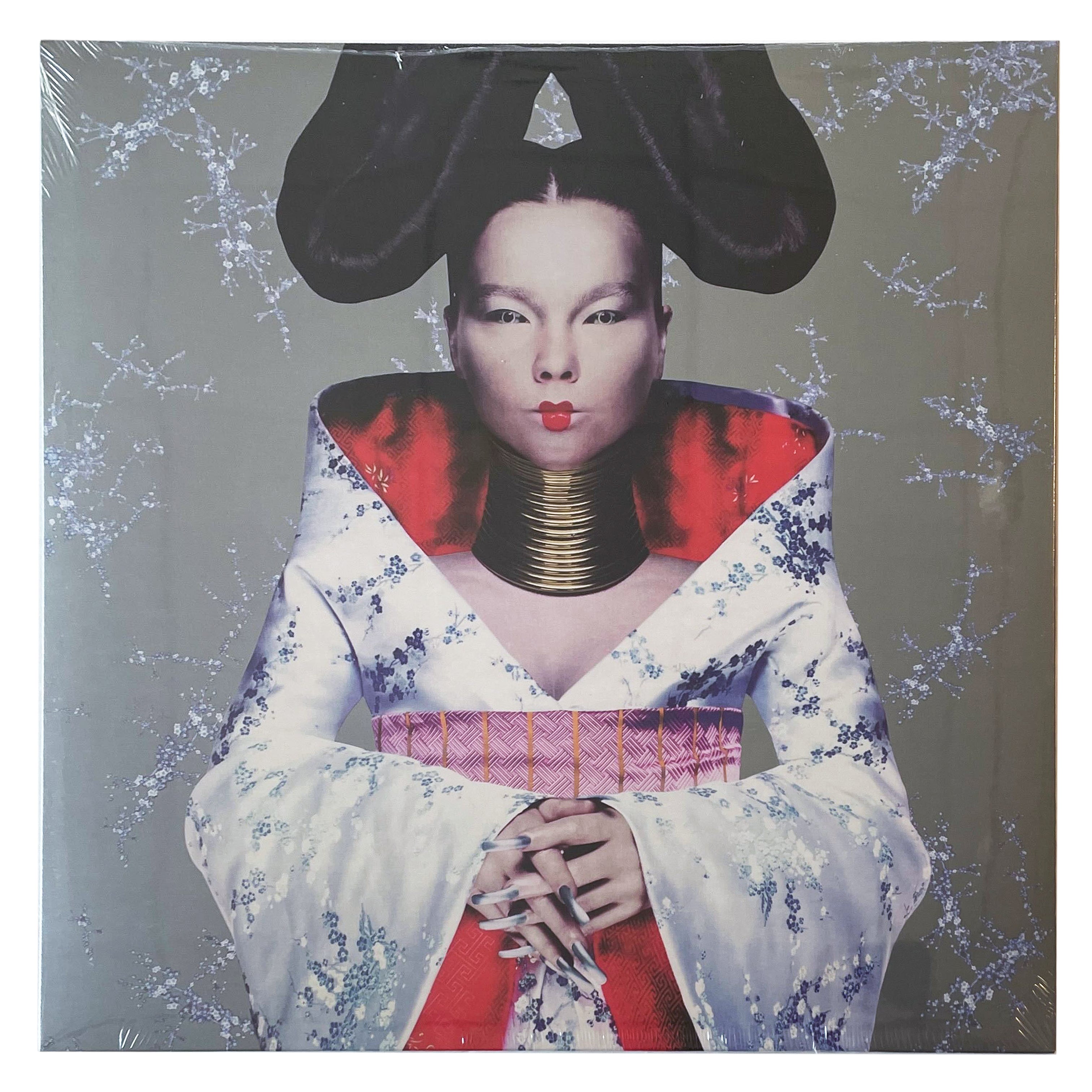 Bjork Homogenic