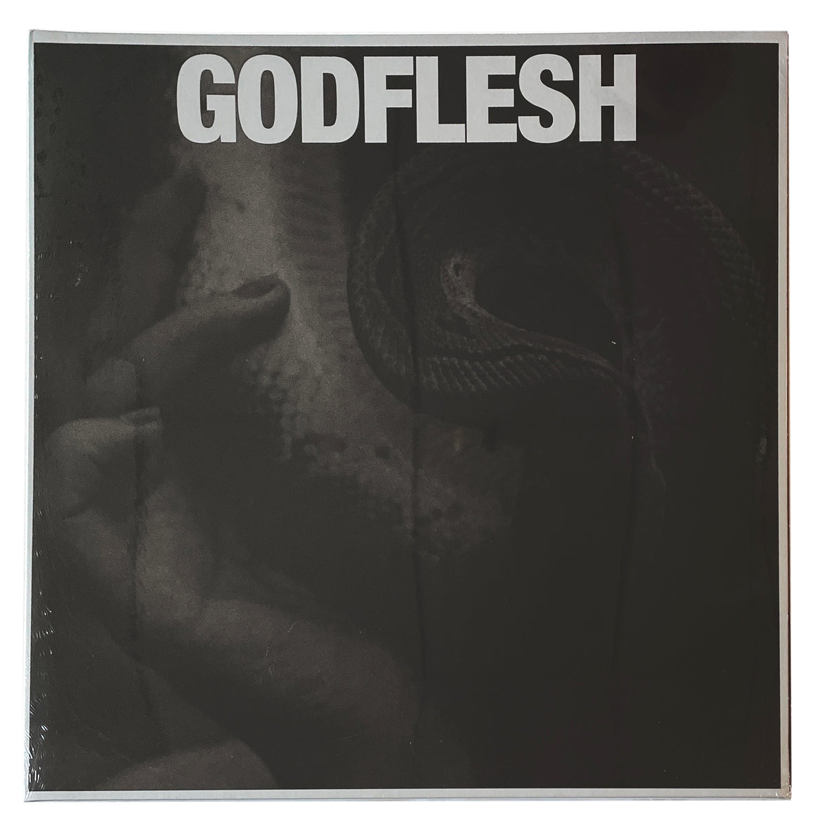 Godflesh: Purge 12" – Sorry State Records
