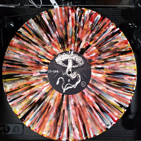 Snake Father: The Concepts of Torture 12" – Sorry State Records