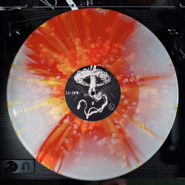 Snake Father: The Concepts of Torture 12" – Sorry State Records