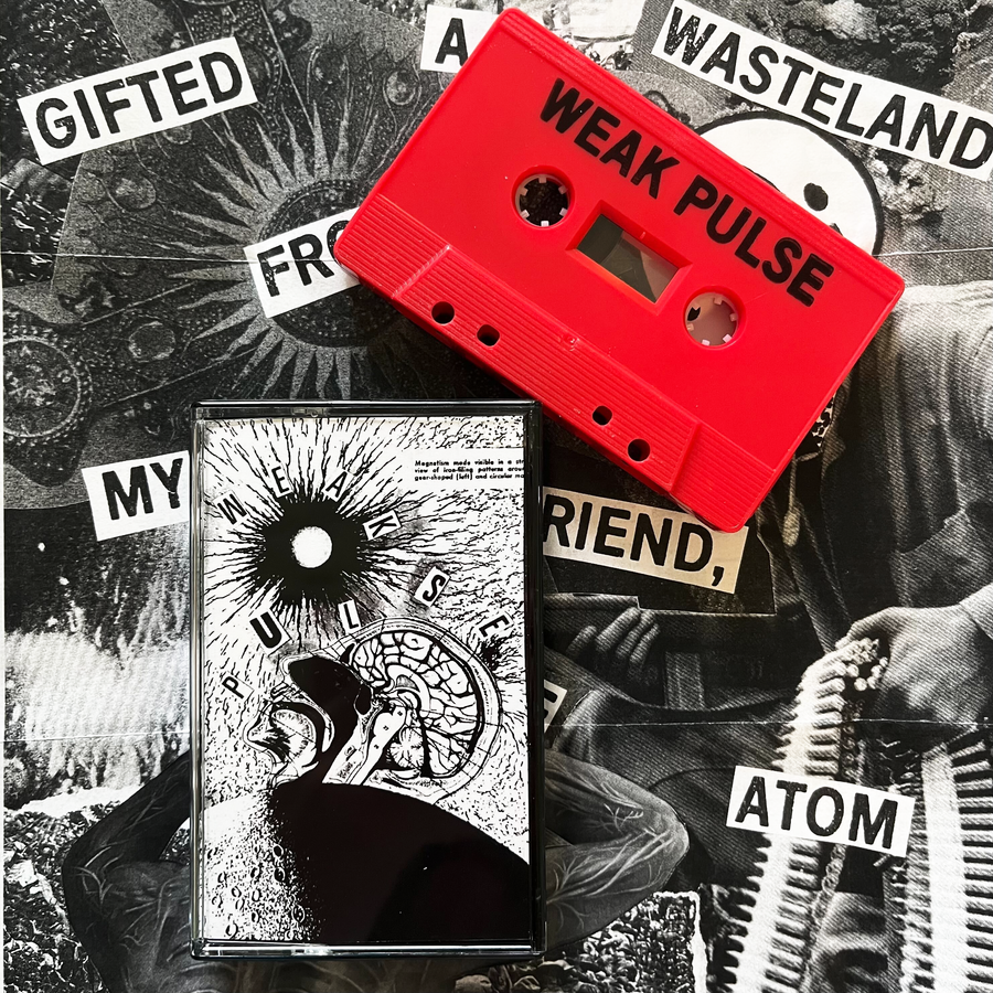 Weak Pulse: The Killing Moves Around the Planet cassette – Sorry State ...