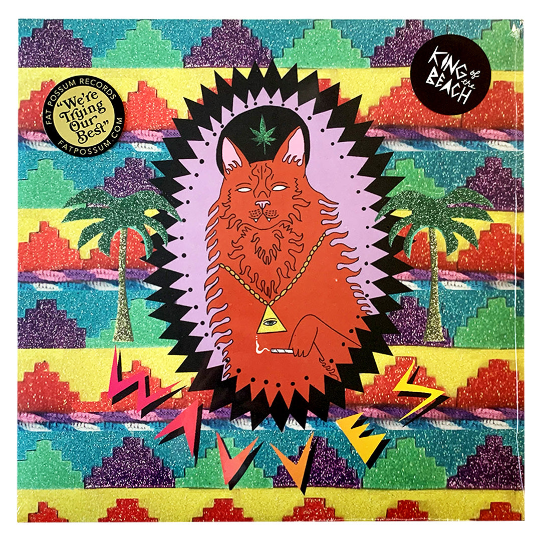 Wavves Album Art